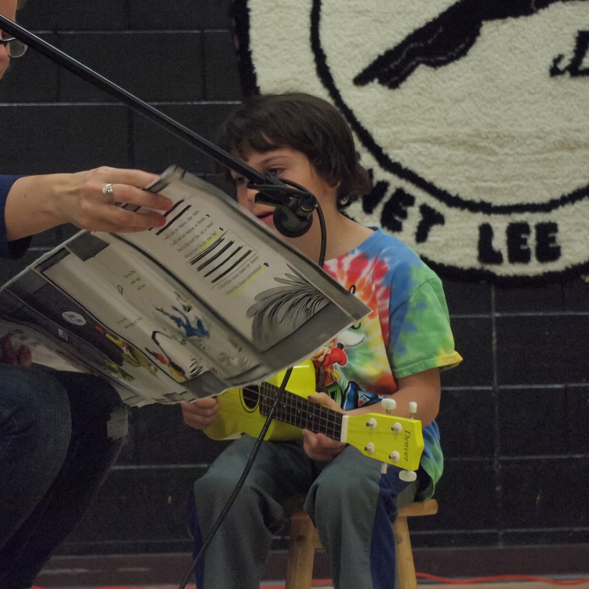 2017 Janet Lee Elementary School Fun Fair | Hamilton School of Music