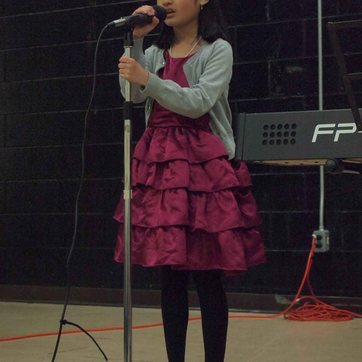 2017 Janet Lee Elementary School Fun Fair | Hamilton School of Music